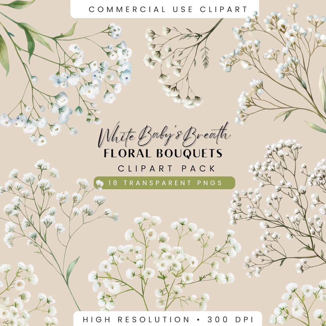 Baby's Breath Clipart, Floral Watercolor Bouquet PNG, Digital Download ...