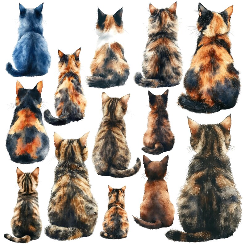 Watercolor Cats Clipart: Back View PNG Bundle (digital Download) - Etsy