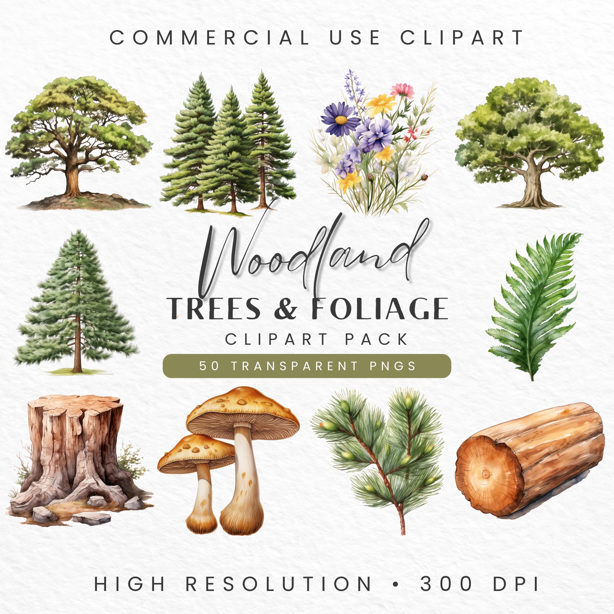 Woodland Forest Clipart Bundle: Trees, Foliage (PNG Digital Download ...
