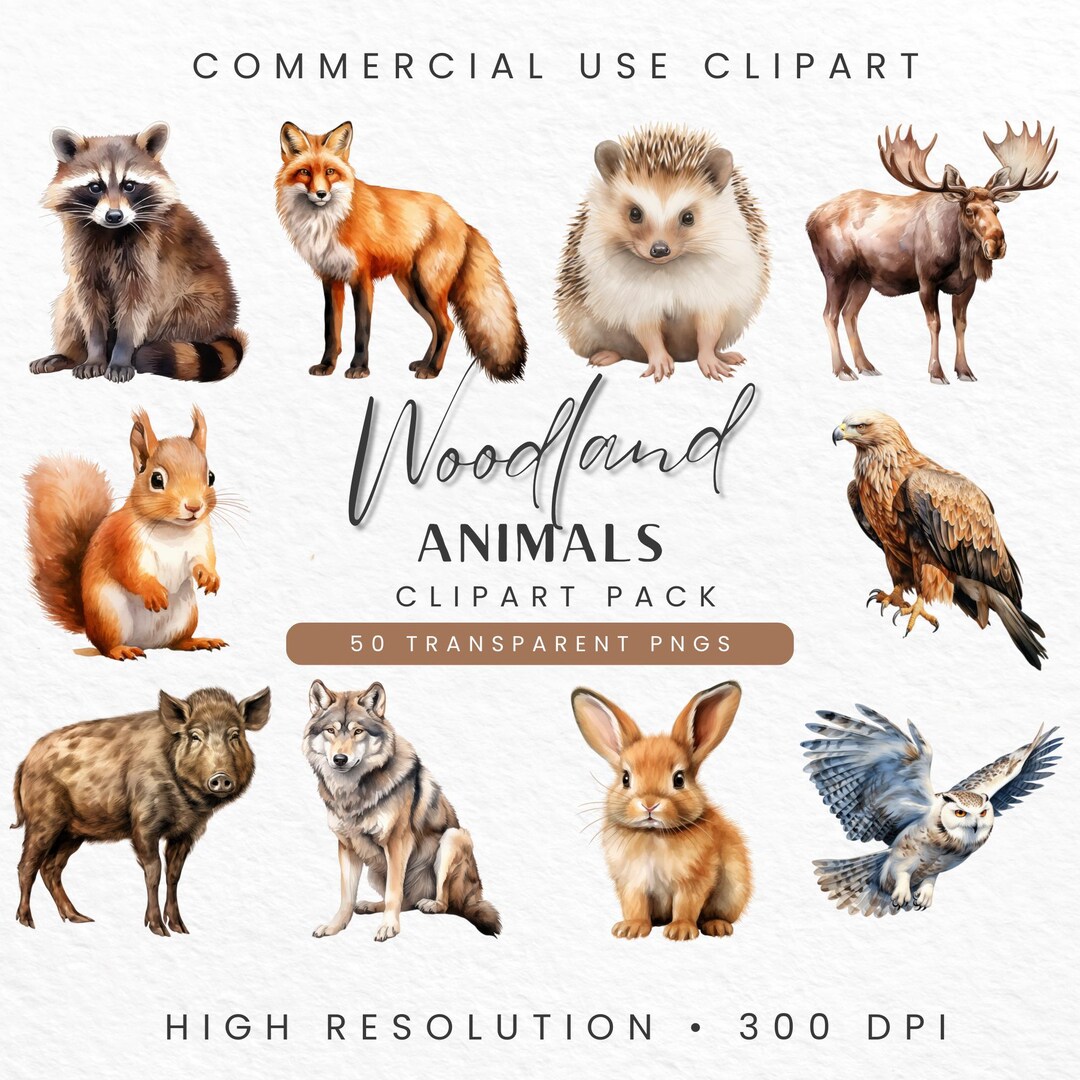 Woodland Creatures Clipart Pack, Cute Forest Animals, Digital Download ...