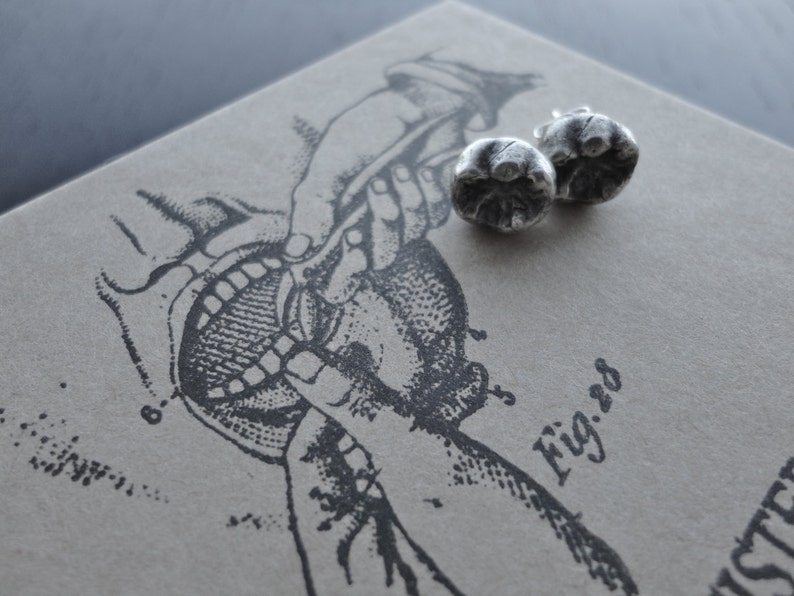 Baby Tooth Studs - Etsy