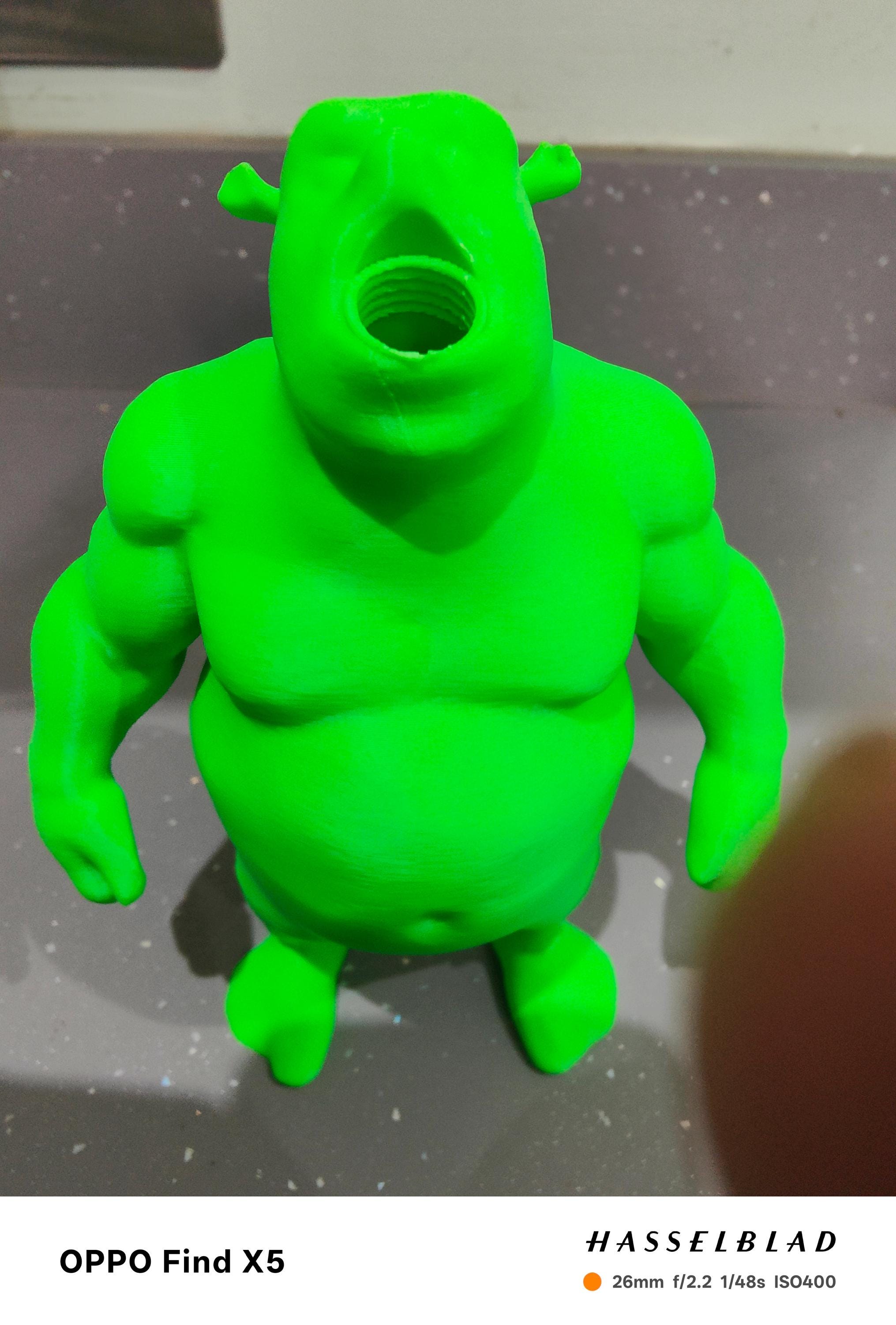 3D Printed Shrek Toothpaste Dispenser - Etsy UK