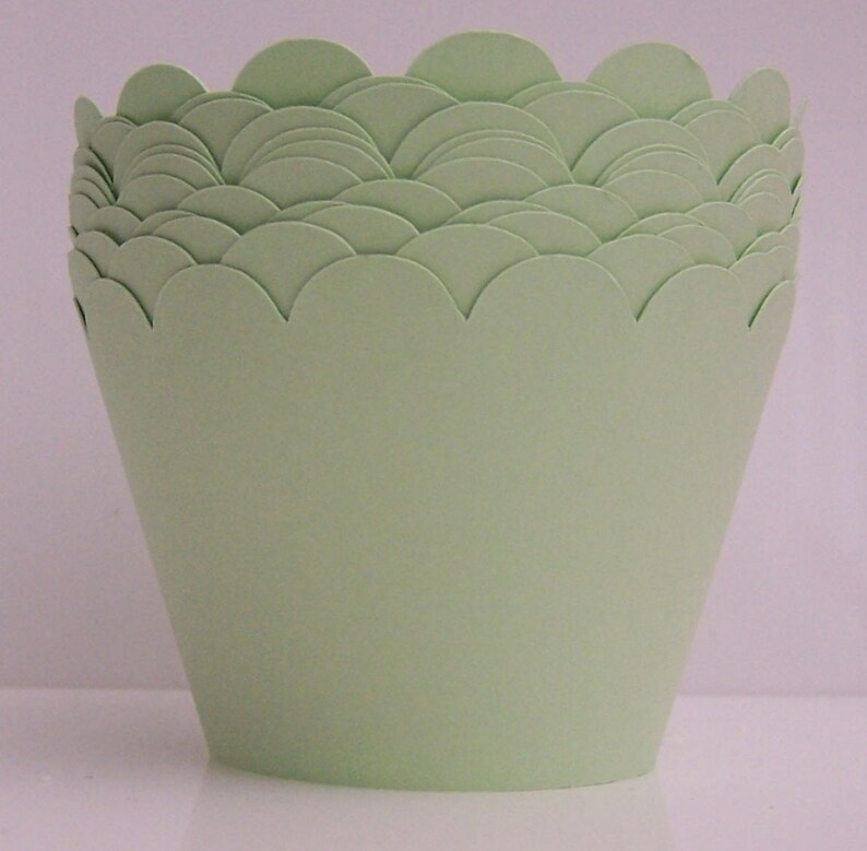 12 Pastel Mint Green Cupcake Wrappers Set of 12.... Fully | Etsy