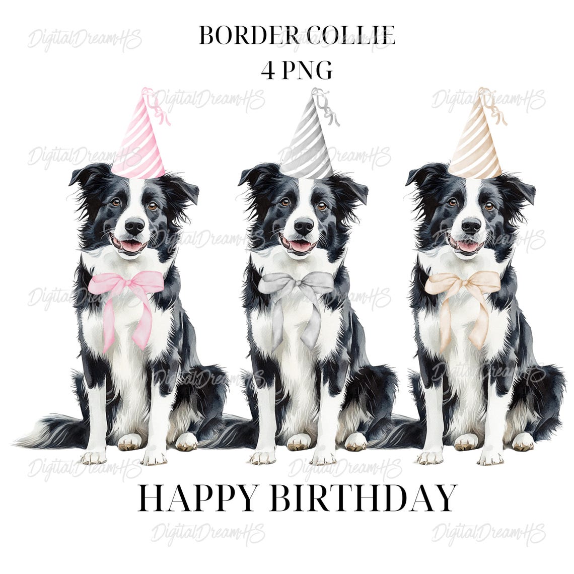 Watercolor Birthday Border Collie PNG: Party Hats (digital Download) - Etsy
