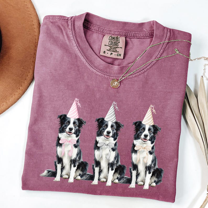 Watercolor Birthday Border Collie PNG: Party Hats (digital Download) - Etsy