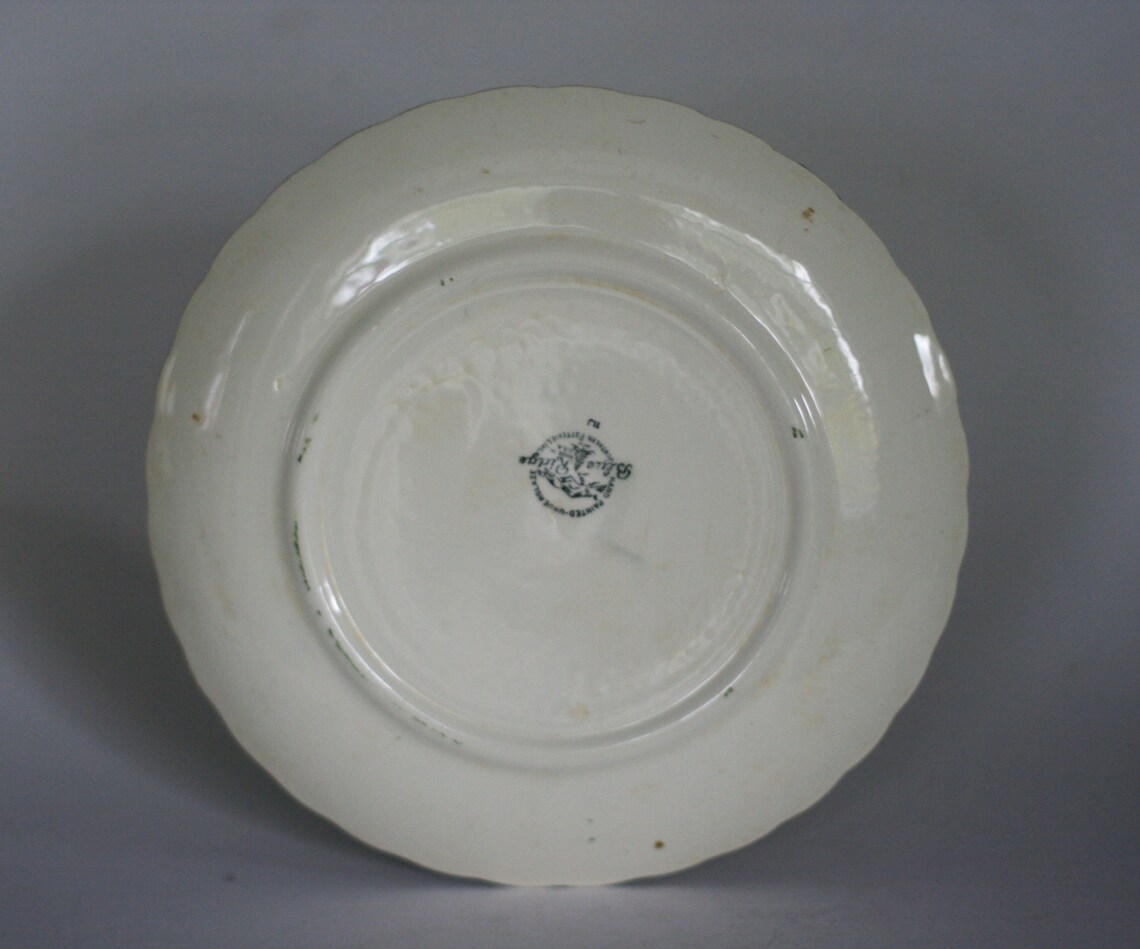 Vintage Blue Ridge Hand Painted Plates by Southern Potteries - Etsy