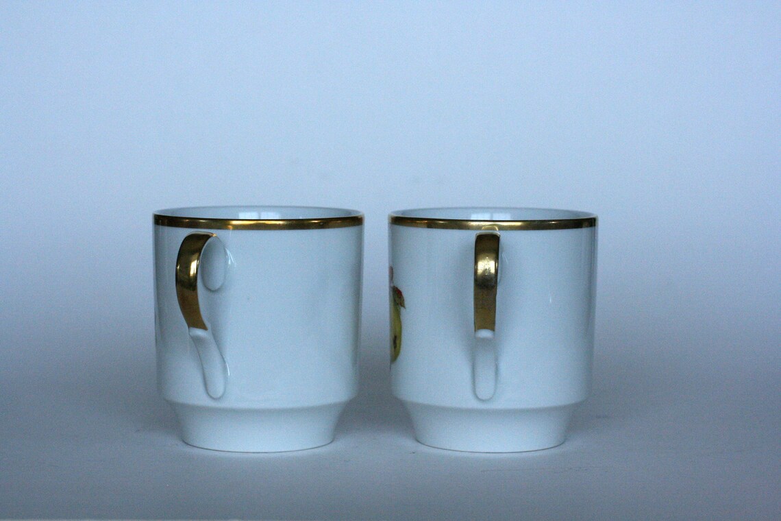 Vintage Schumann Arzberg Coffee Mugs With Fruit Motif Set of - Etsy