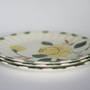 Vintage Blue Ridge Hand Painted Plates by Southern Potteries Set of ...