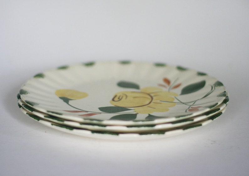 Vintage Blue Ridge Hand Painted Plates by Southern Potteries - Etsy