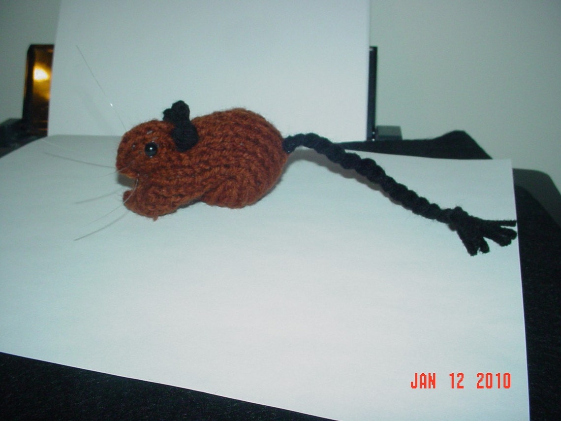 Knitted Gerbil 6 Burmese - Etsy