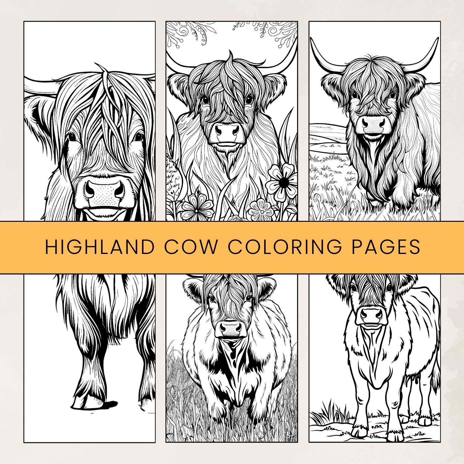 Printable Highland Cow Coloring Pages: Fun for Kids & Adults (digital ...