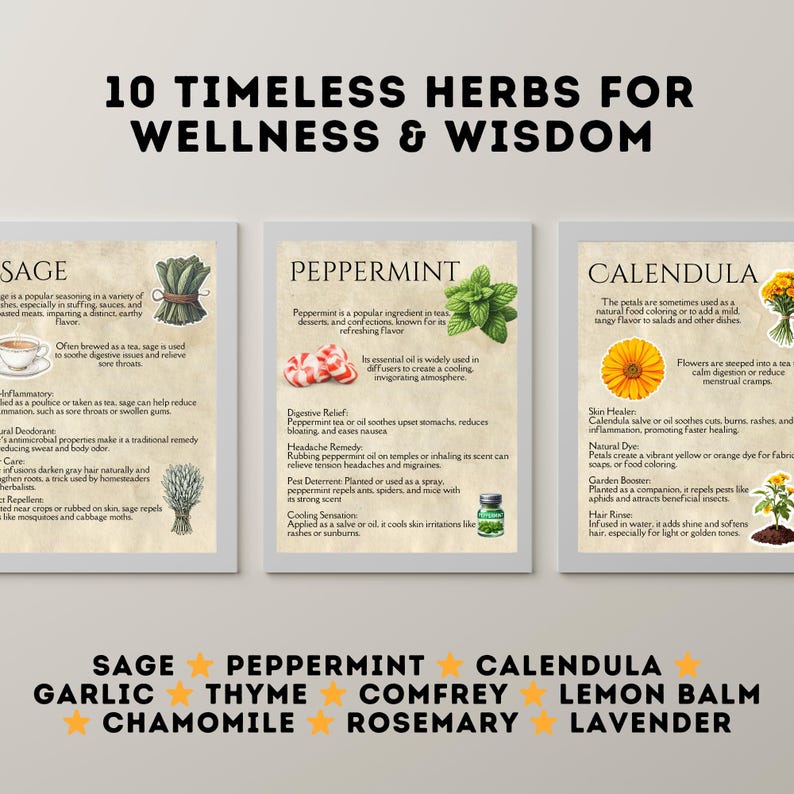 Apothecary Herb Guide, 10 Herbal Info Pages, Natural Remedies, Holistic ...