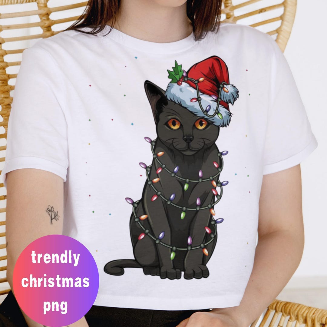 Cute Christmas Cat Png,funny Christmas Cats With Christmas Light Png ...