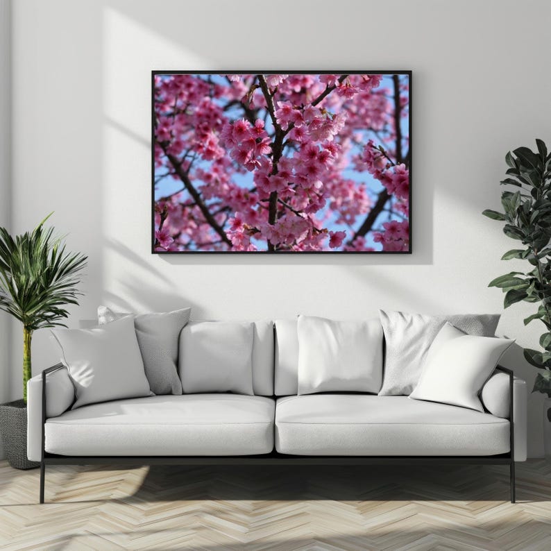 Taiwan Cherry Blossom Tree Photo Poster, Wall Decor for Apartments ...