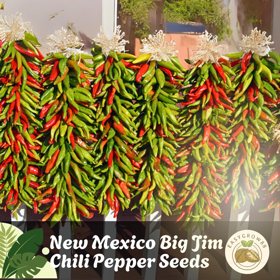 50 Big Jim Chili Pepper Seeds: Heirloom Non-gmo New Mexico Seeds - Etsy