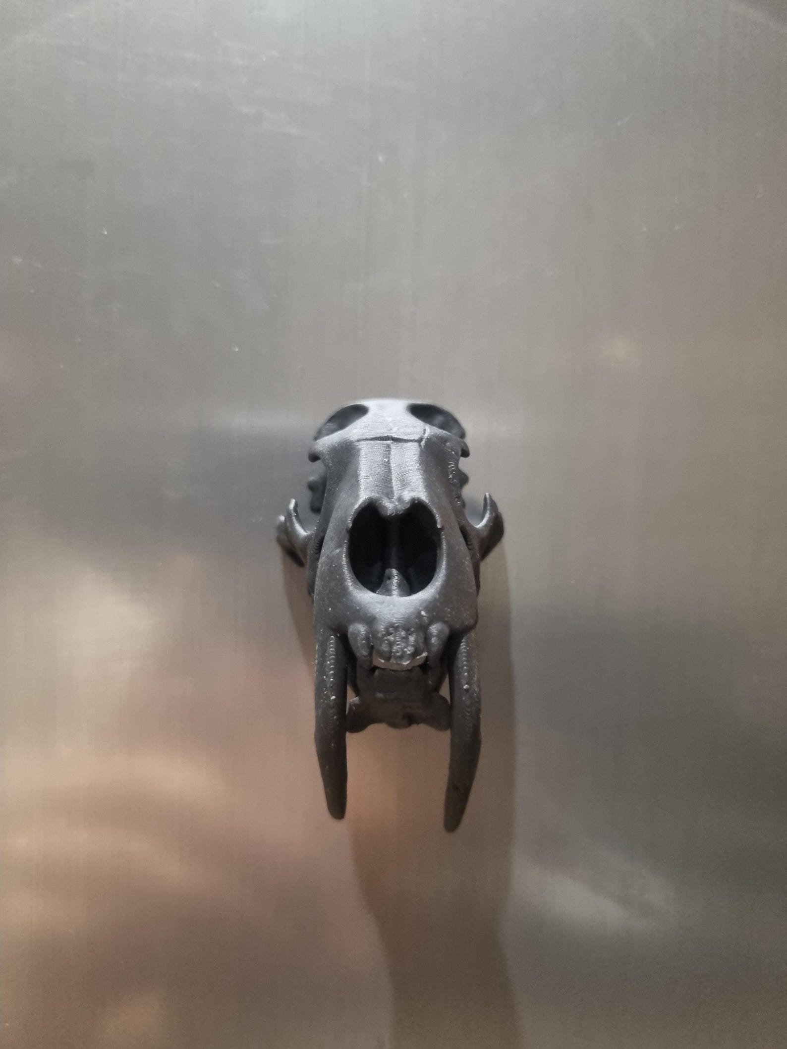 Sabertooth Skull Fridge Magnet – Fossil Decor, Dinosaur Skull Magnet ...