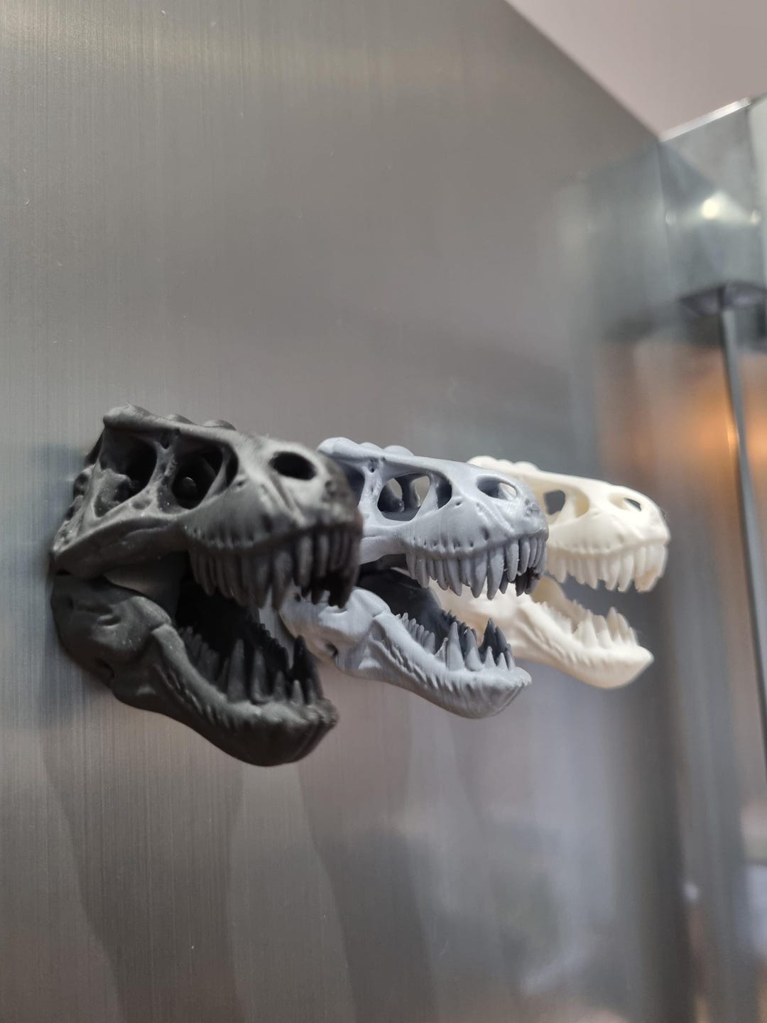 T-rex Skull Fridge Magnet: Jurassic Dinosaur Decor - Fossil Decor ...