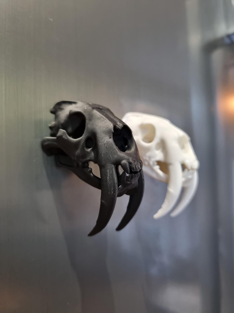 Sabertooth Skull Fridge Magnet – Fossil Decor, Dinosaur Skull Magnet ...