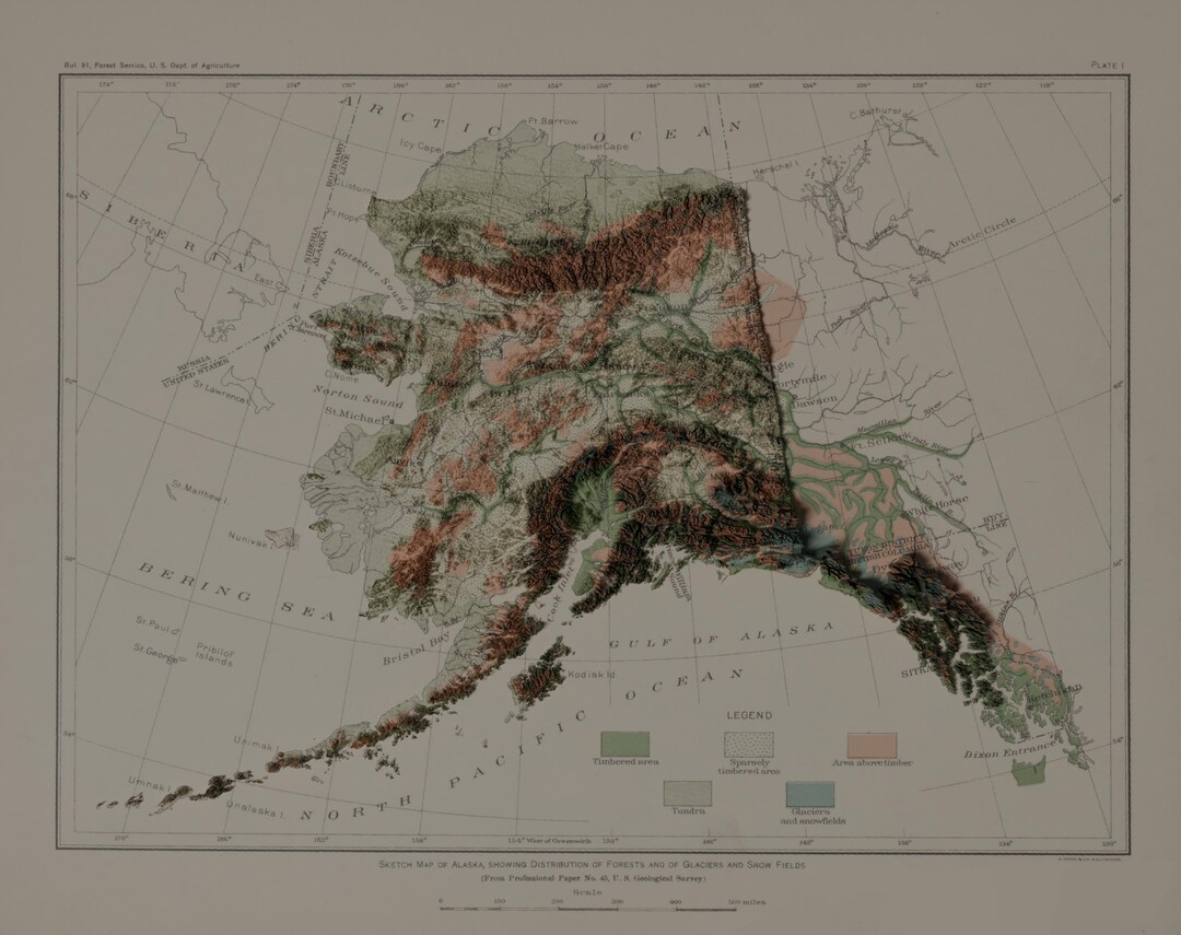 Alaska Forestry and Topography Map - Etsy