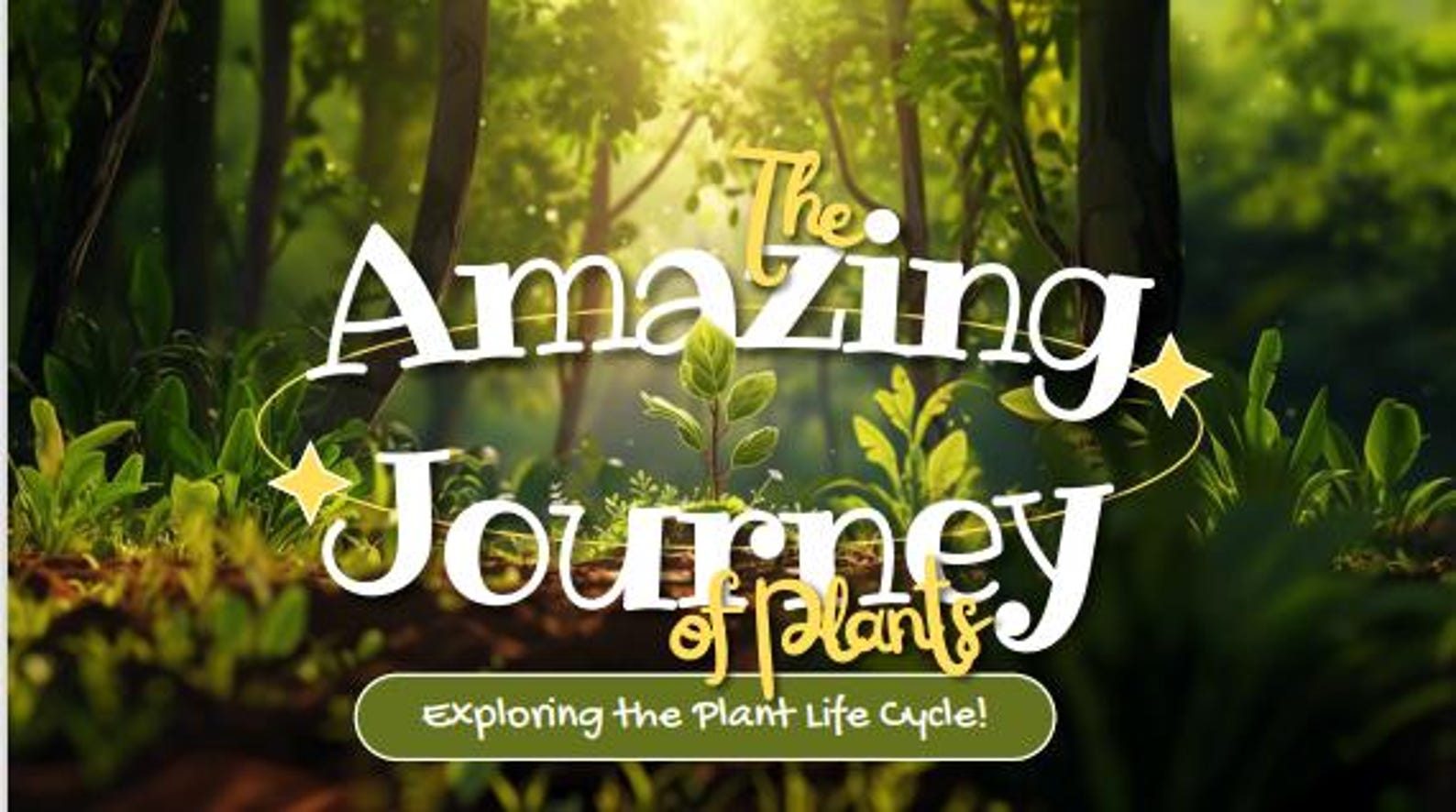 The Amazing Journey of Plants Exploring the Plant Life Cycle! - Etsy