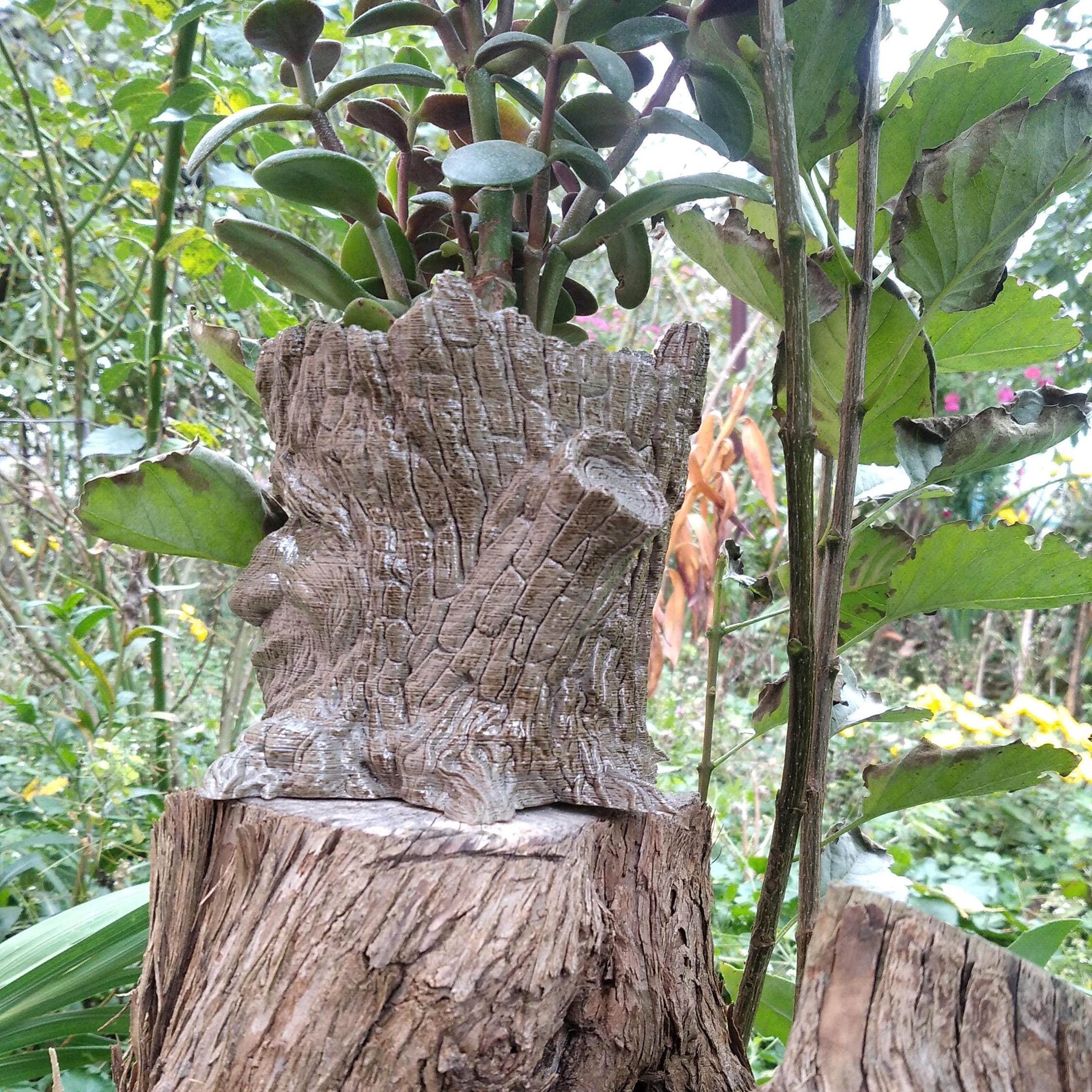 Forest Spirit Tree Stump Planter – Handmade Wood-look Plant Pot for ...