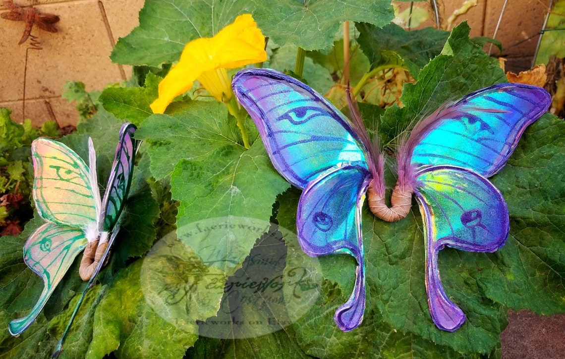 Newborn baby fairy wings faery wings photo props keepsake | Etsy