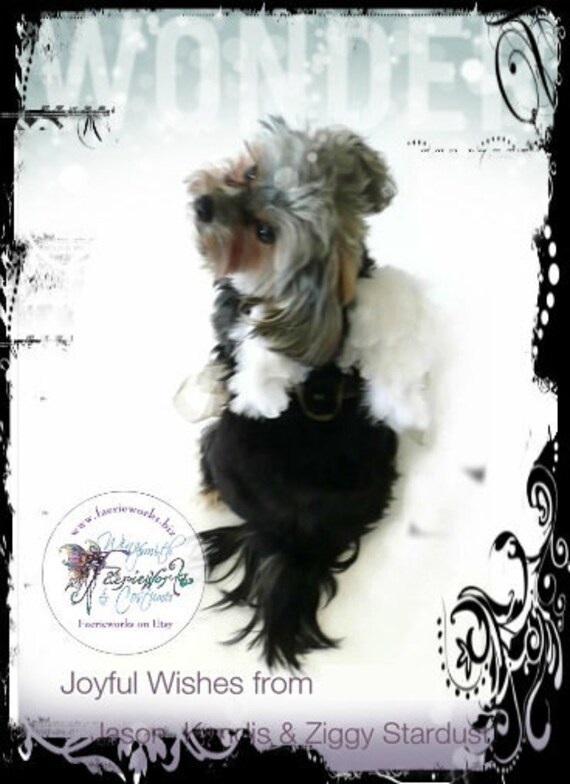 Pet Wings Dog Costume Wings Angel Wings Faery Wings Bat Wings | Etsy