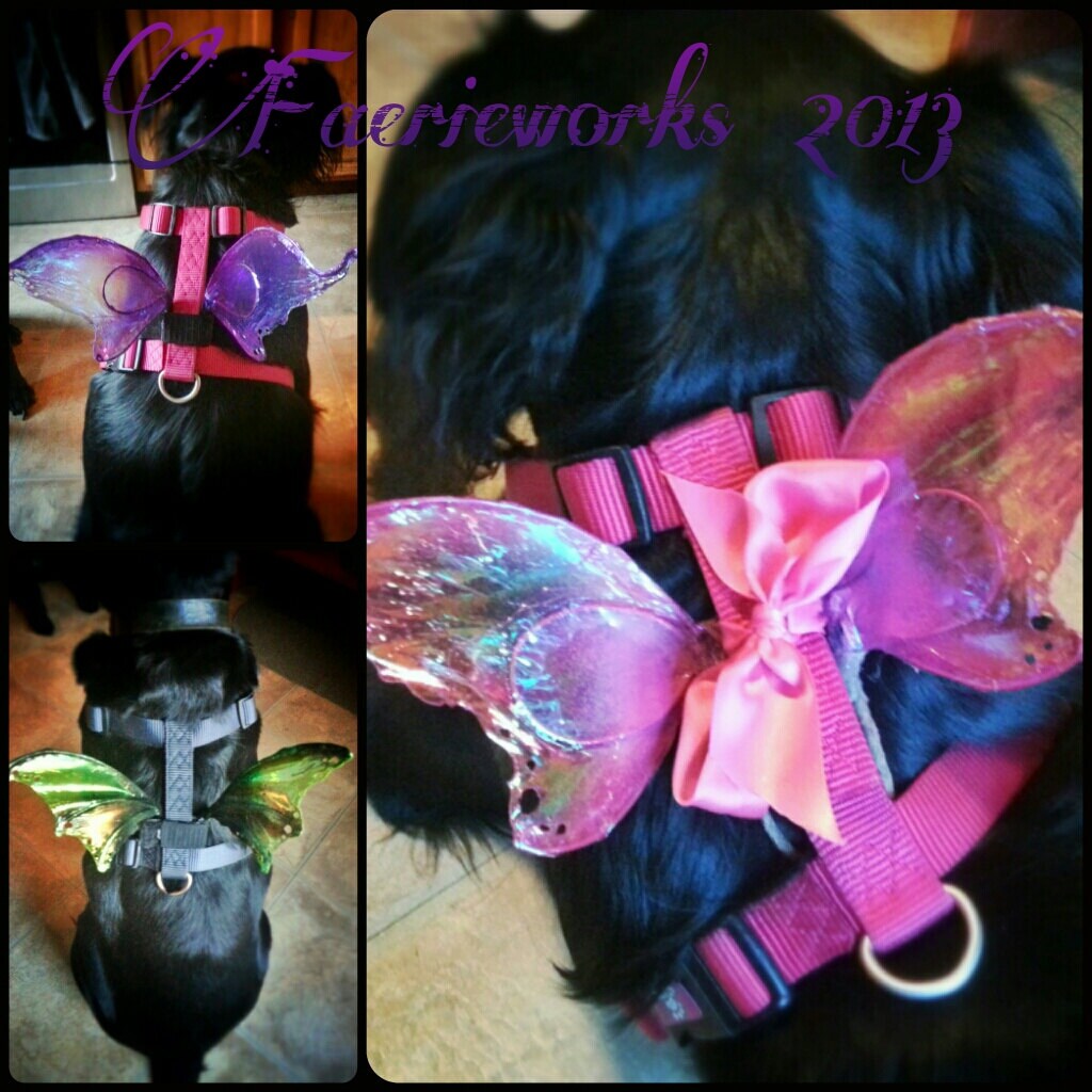 Pet Wings Dog Costume Wings Dragon Wings Faery Wings Bat Wings - Etsy