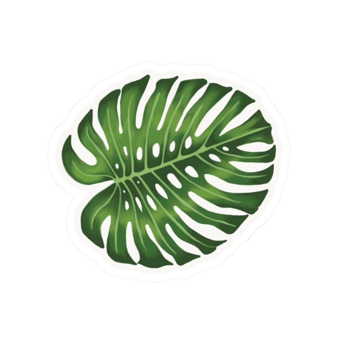 Monstera Sticker, Cute Sticker for Laptop, Sticker for Water Bottle ...