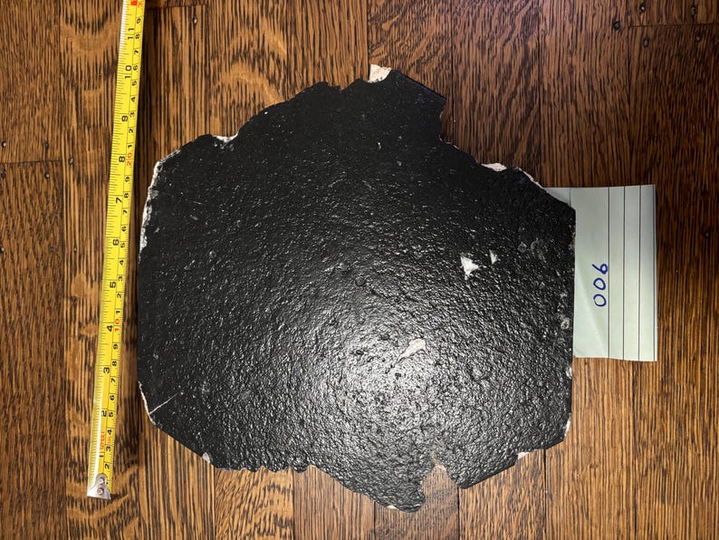 Spacex Starship 33 Heat Shield Tiles - 2025 Turks and Caicos Island - Etsy