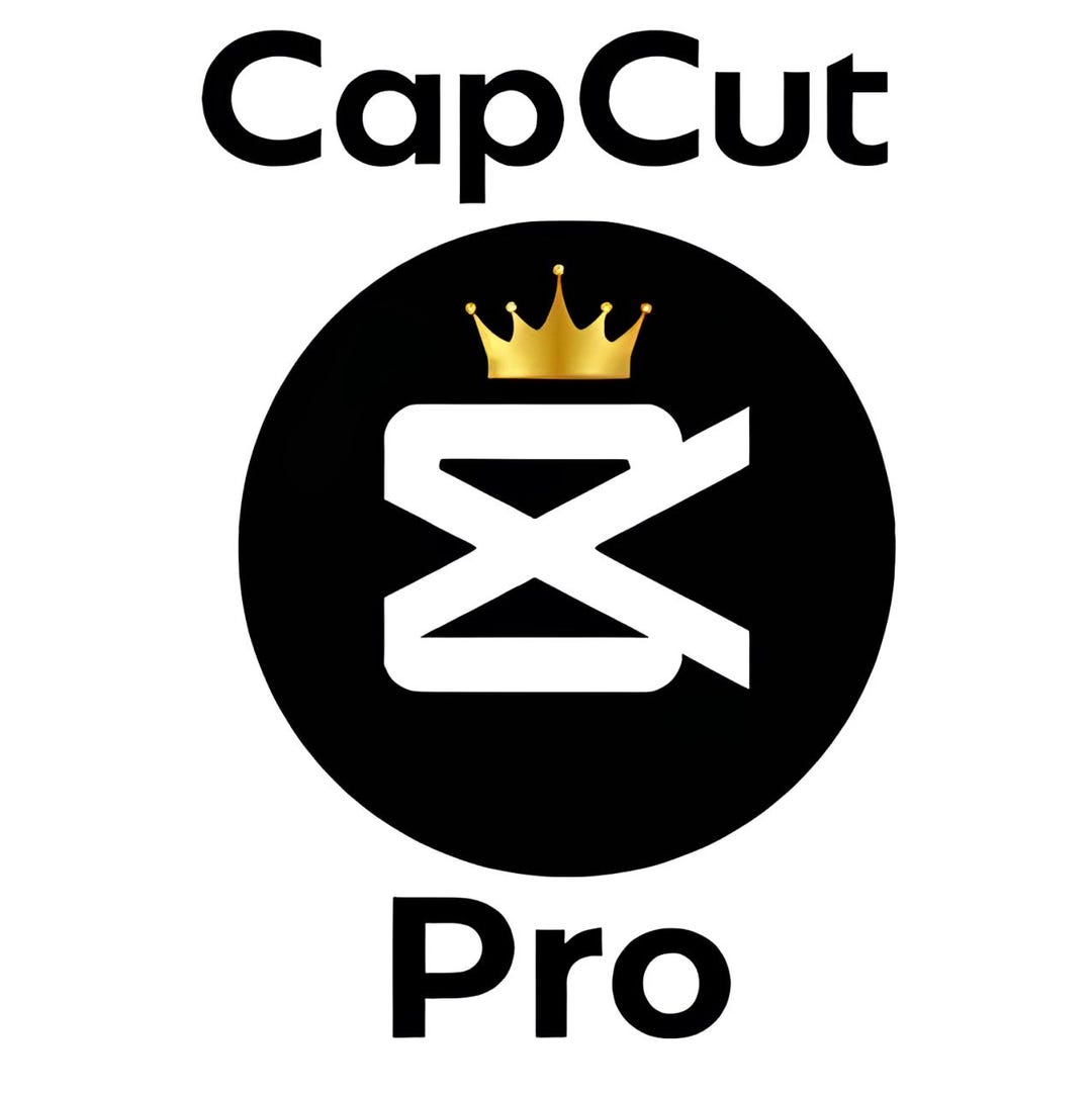 Capcut Pro Lifetime Premium Access One-time Payment Instant Digital Download - Etsy