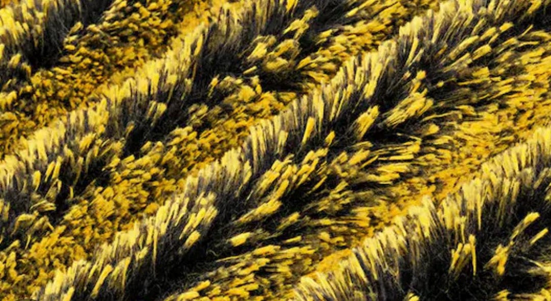 Shannon Fabrics-luxurious Cuddle Minky Fabric With a Soft, Shaggy ...