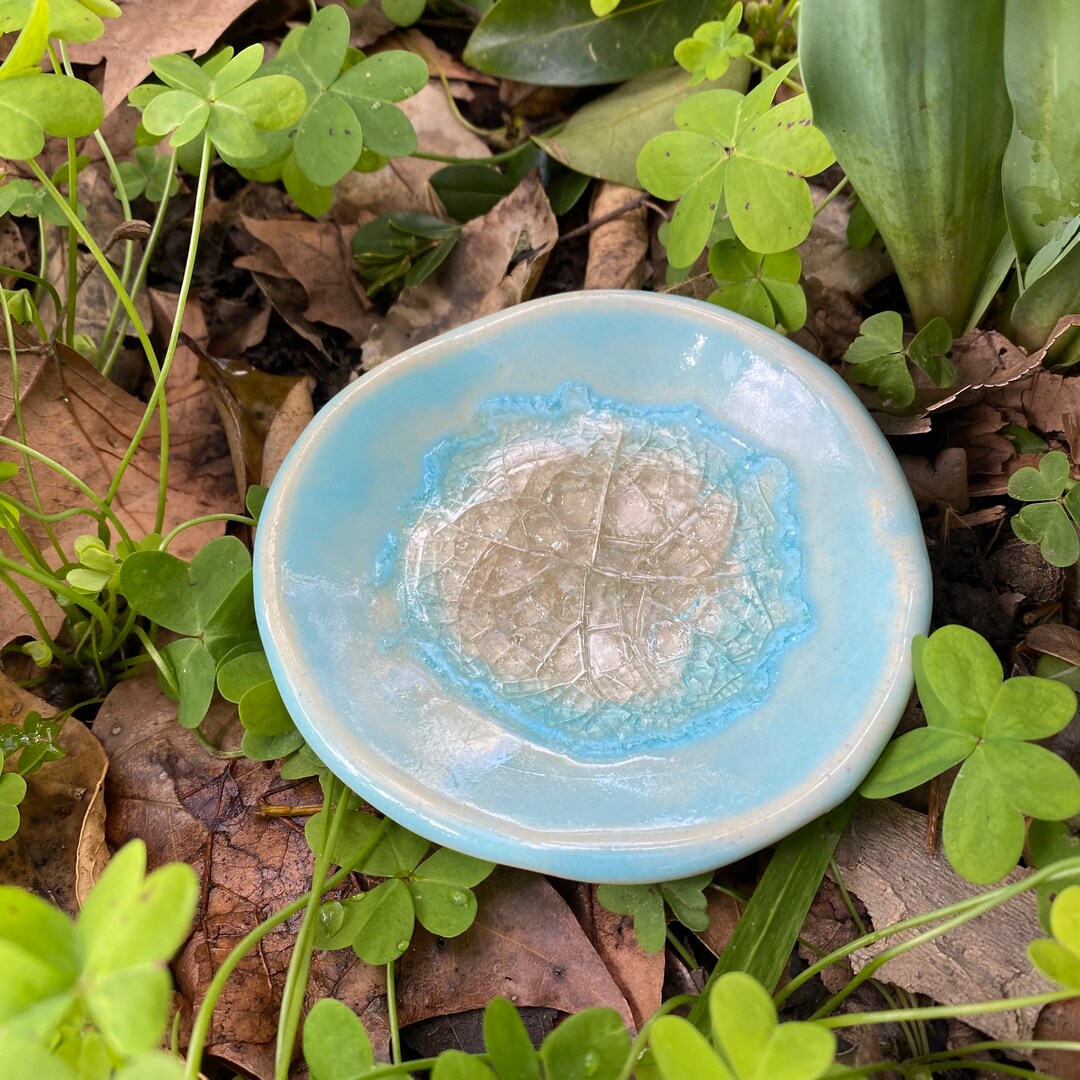 Butterfly Puddler Dish Butterfly Feeder Sky Blue With - Etsy