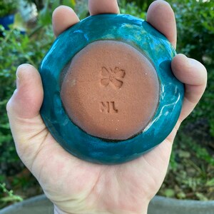 Butterfly Puddler Dish - Butterfly Feeder - Green-teal on Medium Dark ...