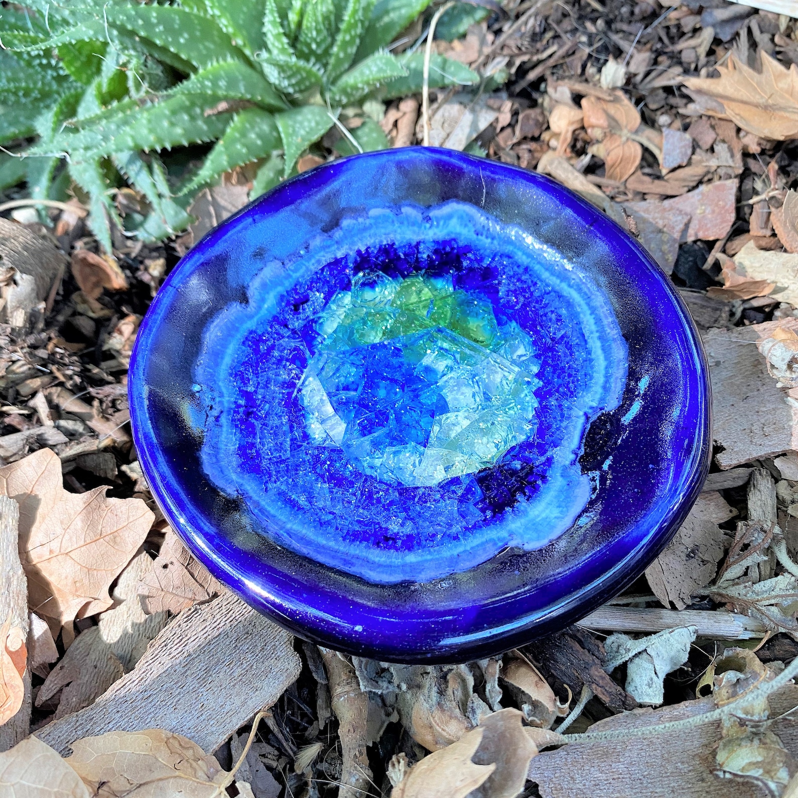 Butterfly Puddler Dish Butterfly Feeder Cobalt Blue With - Etsy