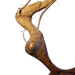 Circle Jewel Original Old Man Root Spirit Rick Cain Wood - Etsy