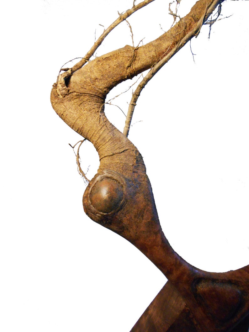 Circle Jewel Original Old Man Root Spirit Rick Cain Wood - Etsy