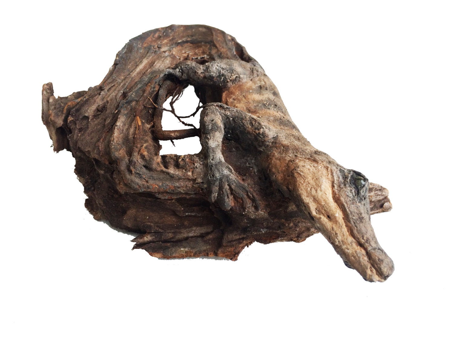 Rick Cain Gator Hole Original Fine Art Wood Carving Florida Baby ...