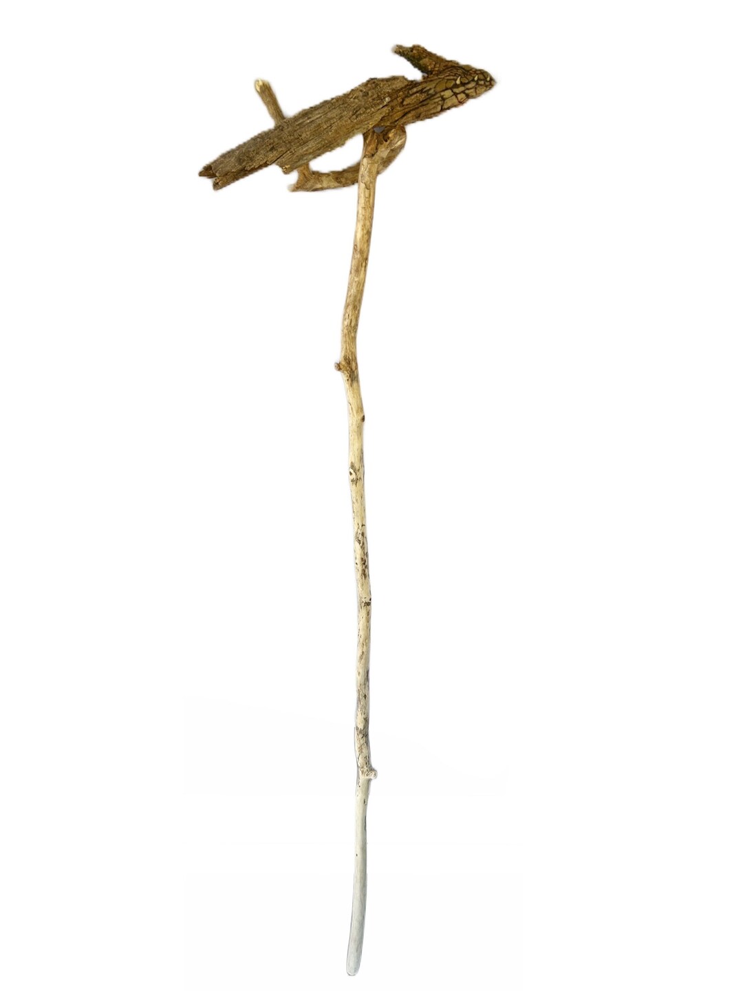 Dragon Tracks Rick Cain Original Walking Stick Sculpture 2023 - Etsy