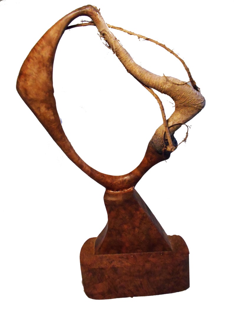 Circle Jewel Original Old Man Root Spirit Rick Cain Wood - Etsy