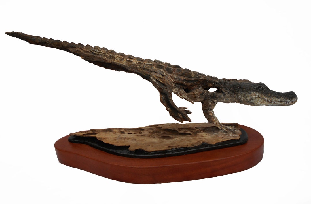 Gator Vision Original Fine Art Wood Carving Sculpture by Rick - Etsy