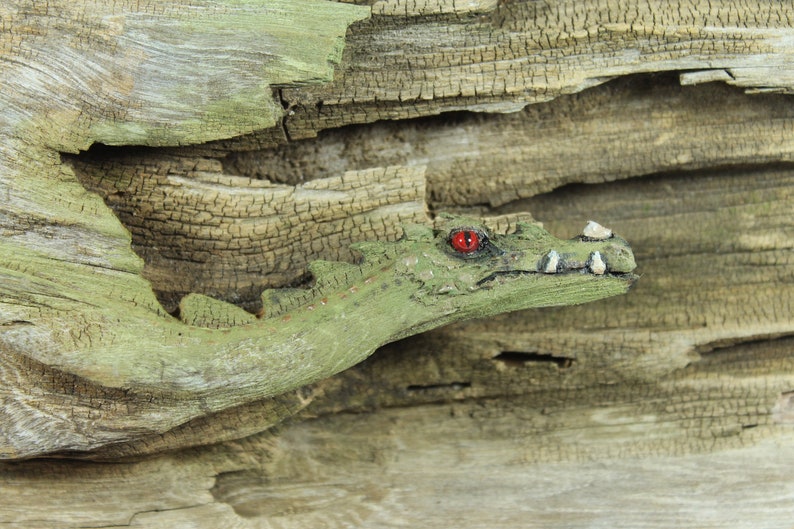 Dragon Chameleon Original Dragon Fantasy Cypress Sculpture by Rick Cain ...