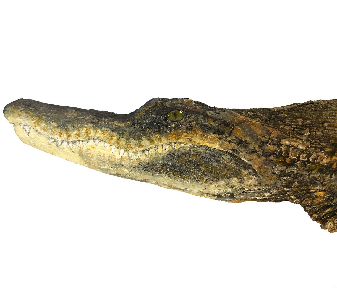 Gator Stretch Original Florida Alligator Sculpture by Rick - Etsy