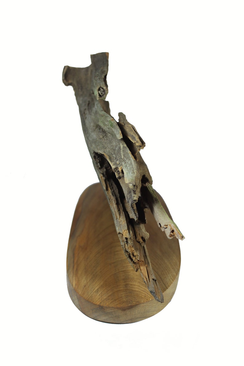 Dragon Chameleon Original Dragon Fantasy Cypress Sculpture by Rick Cain ...