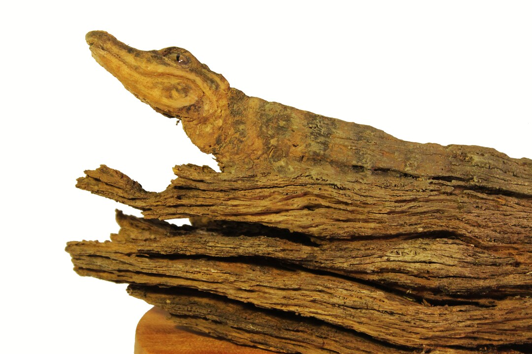 Rick Cain Gator Silhouette Original Fine Art Wood Carving Florida Baby ...