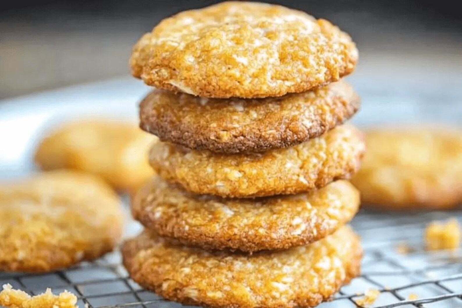 Soft and Chewy 4-ingredient Applesauce Cookies Recipe - Etsy