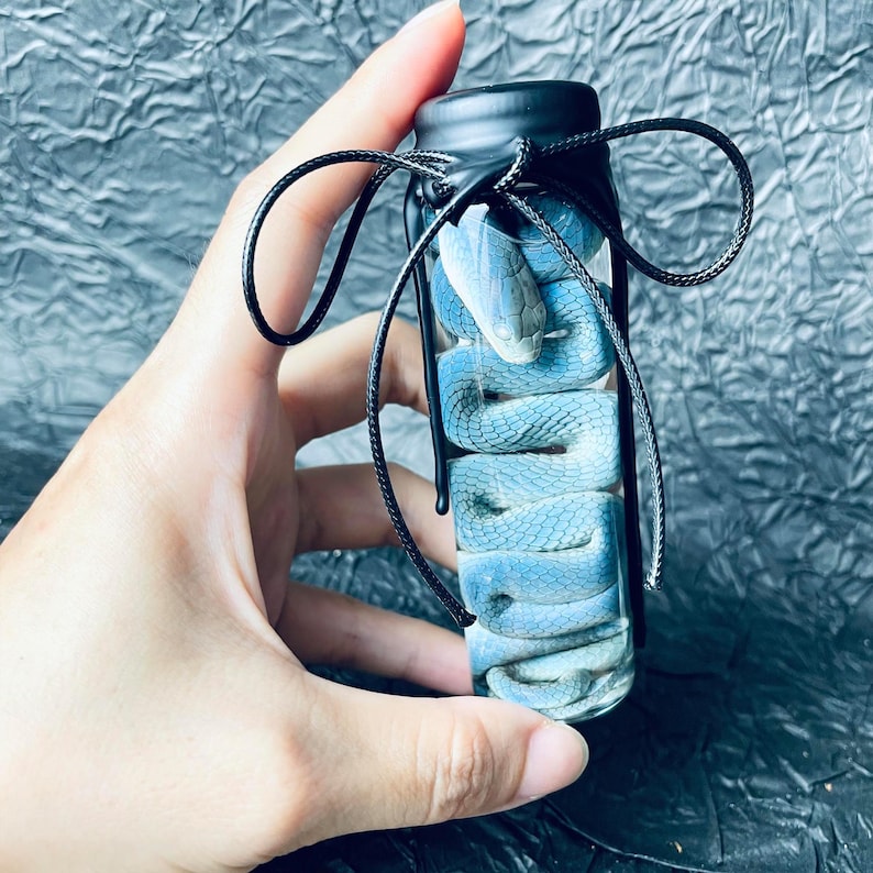 Magic Azure Snake Wet Specimen - Preserved Blue Snake in Glass Jar ...