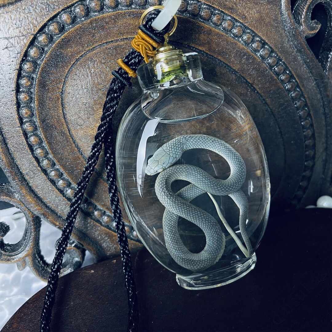 Real Preserved Snake Wet Specimen in Angel Crystal Ball Glass ...