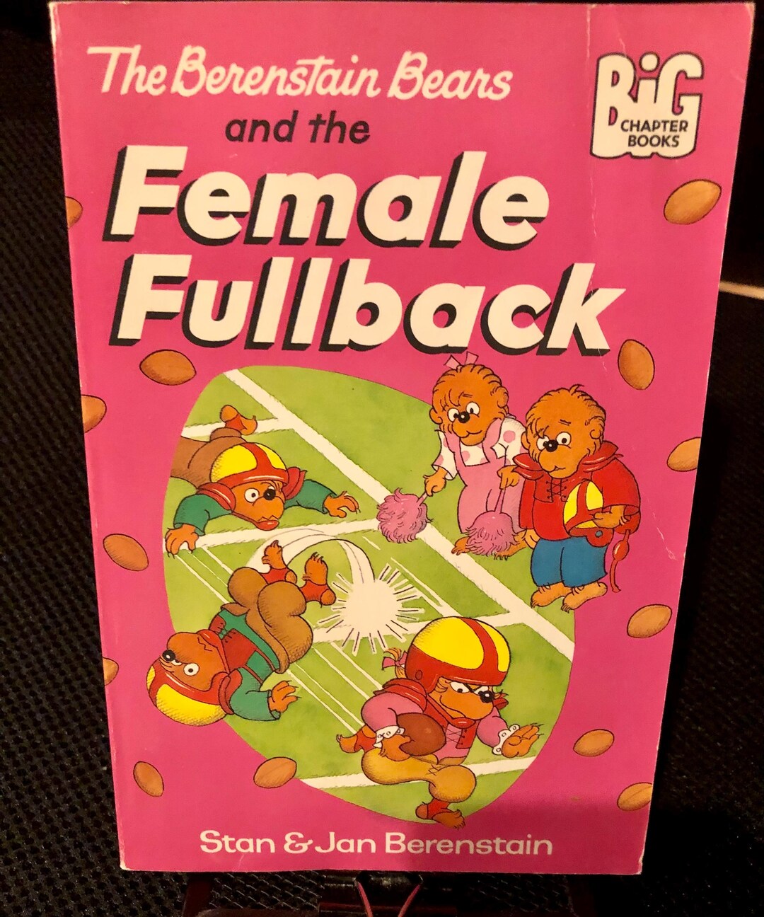 The Berenstain Bears “female Fullback” by Stan and Jan Berenstain ...