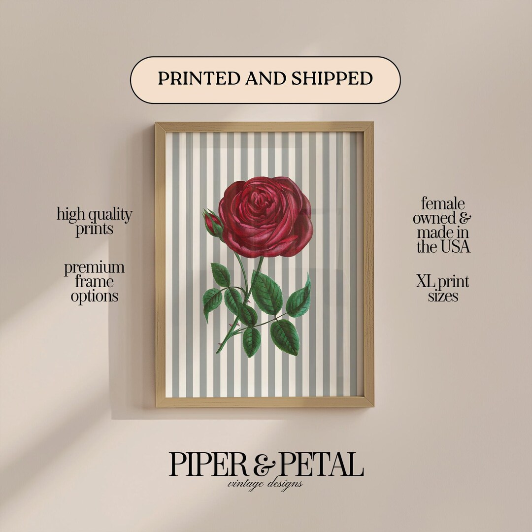 Vintage Red Rose Art Print, Vertical Stripe (framed or Unframed) - Etsy